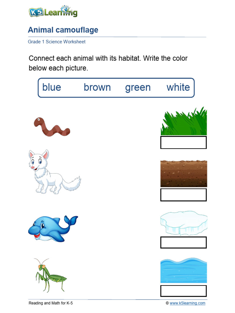 Year 1 Animal Camouflage Worksheet | PDF