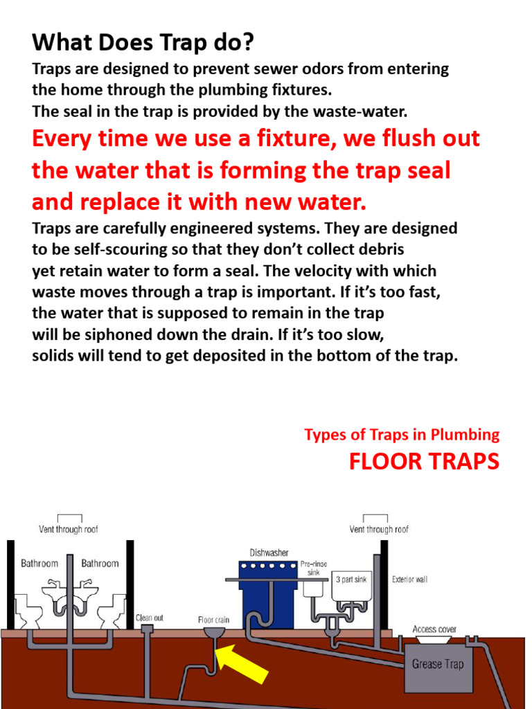 Understanding Plumbing Traps and Fixtures | PDF | Toilet | Shower