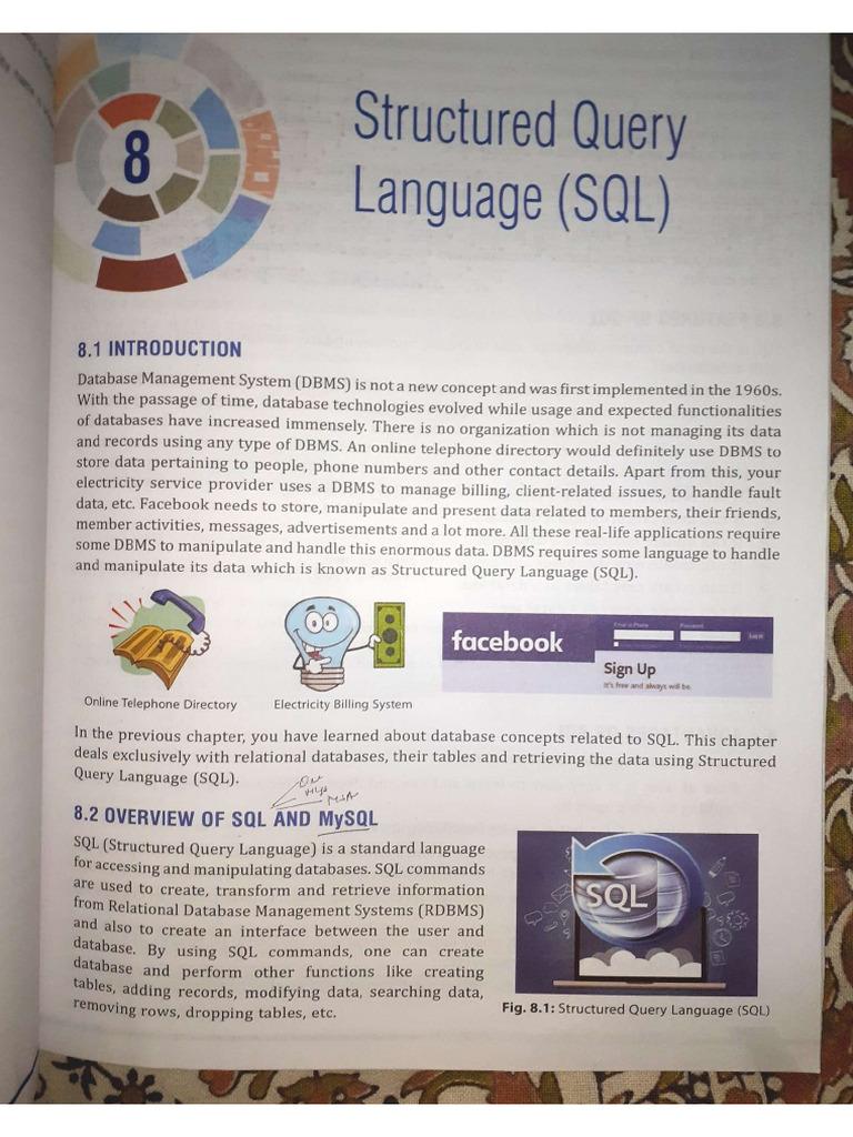 11 Ip CH 8 SQL | PDF