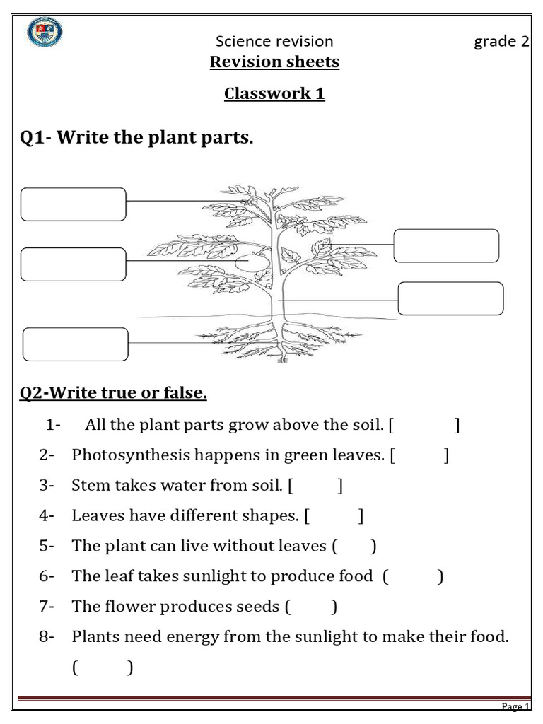 Science_revision_sheet_gr_2_first_term_2024 | PDF | Plants | Leaf