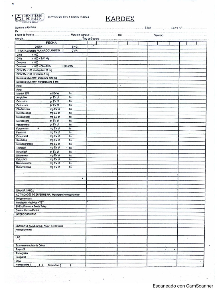 KARDEX DE ENFERMERÍA | PDF