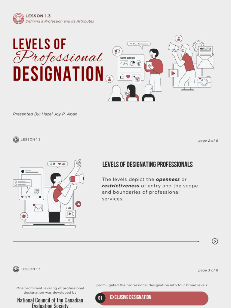 LEVELS OF Professional DESIGNATION | PDF | Certified Public Accountant ...