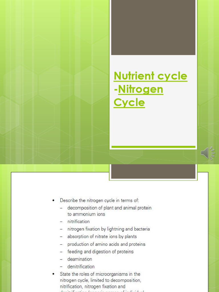 Nutrient Cycle - Nitrogen Cycle | PDF | Nitrate | Nitrogen