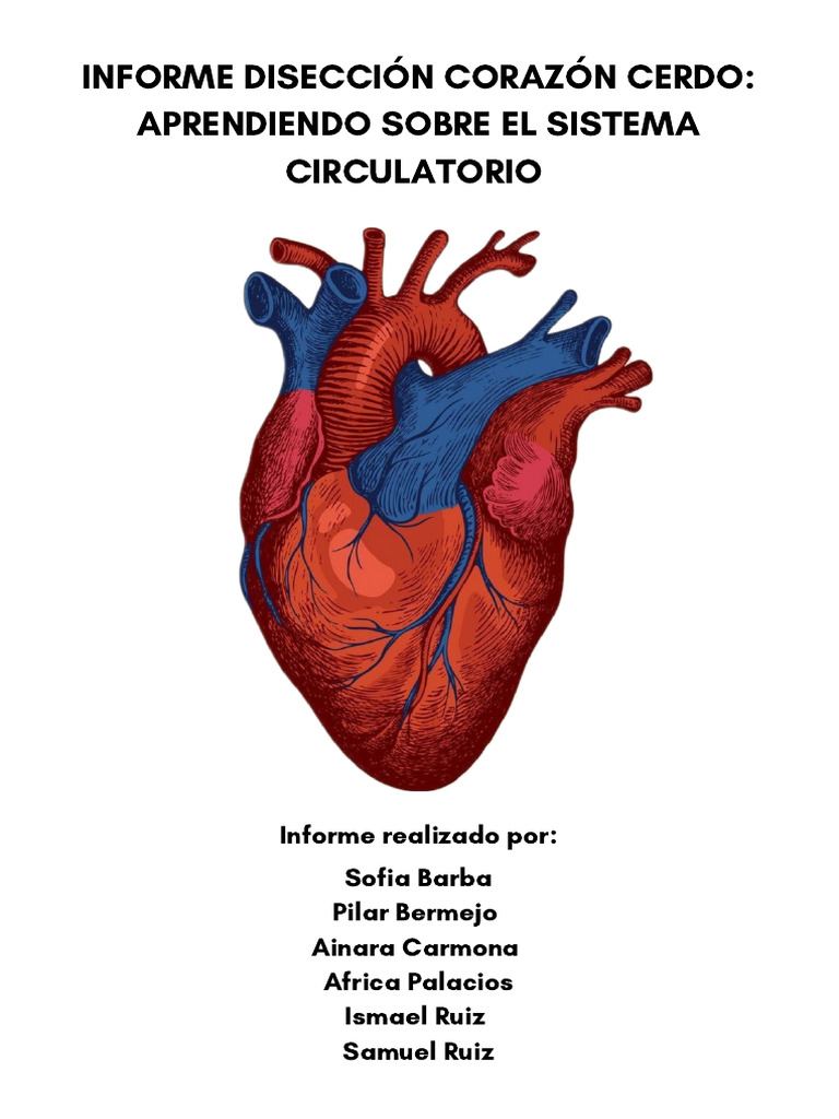 Sofia Barba Pilar Bermejo Ainara Carmona Africa Palacios Ismael Ruiz ...