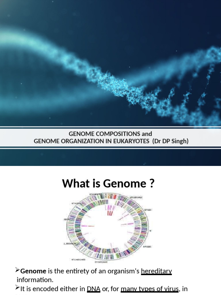 Genome Composition and Organization in Eukaryotes | PDF | Transposable ...
