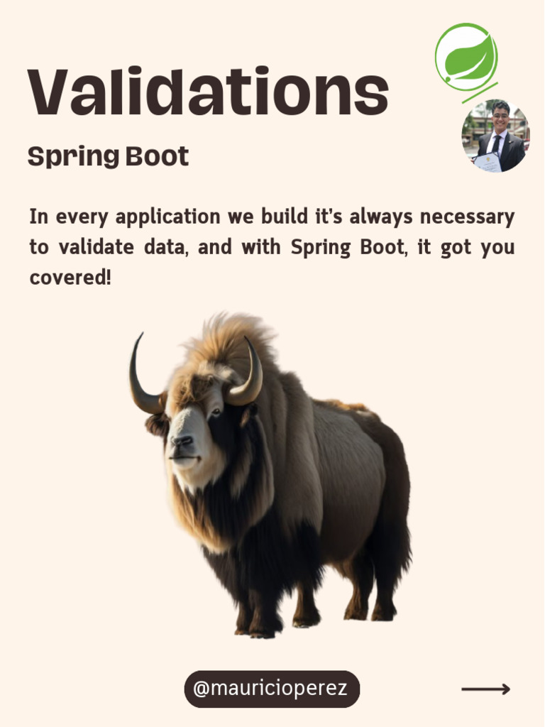 Validations in Spring Boot | PDF | Software | Software Engineering