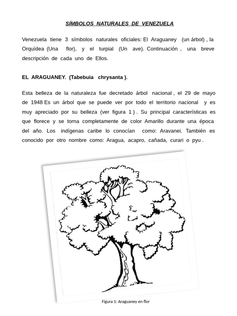 simbolos naturales | PDF