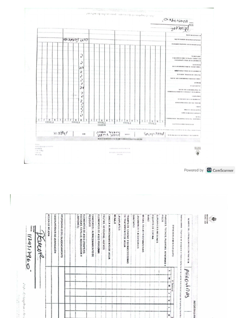 Formatos PSB Abril Notasycolorescorralnuevo | PDF