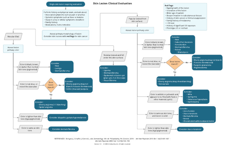 Skin Lesion Evaluation Guidelines | PDF | Skin Cancer | Dermatology