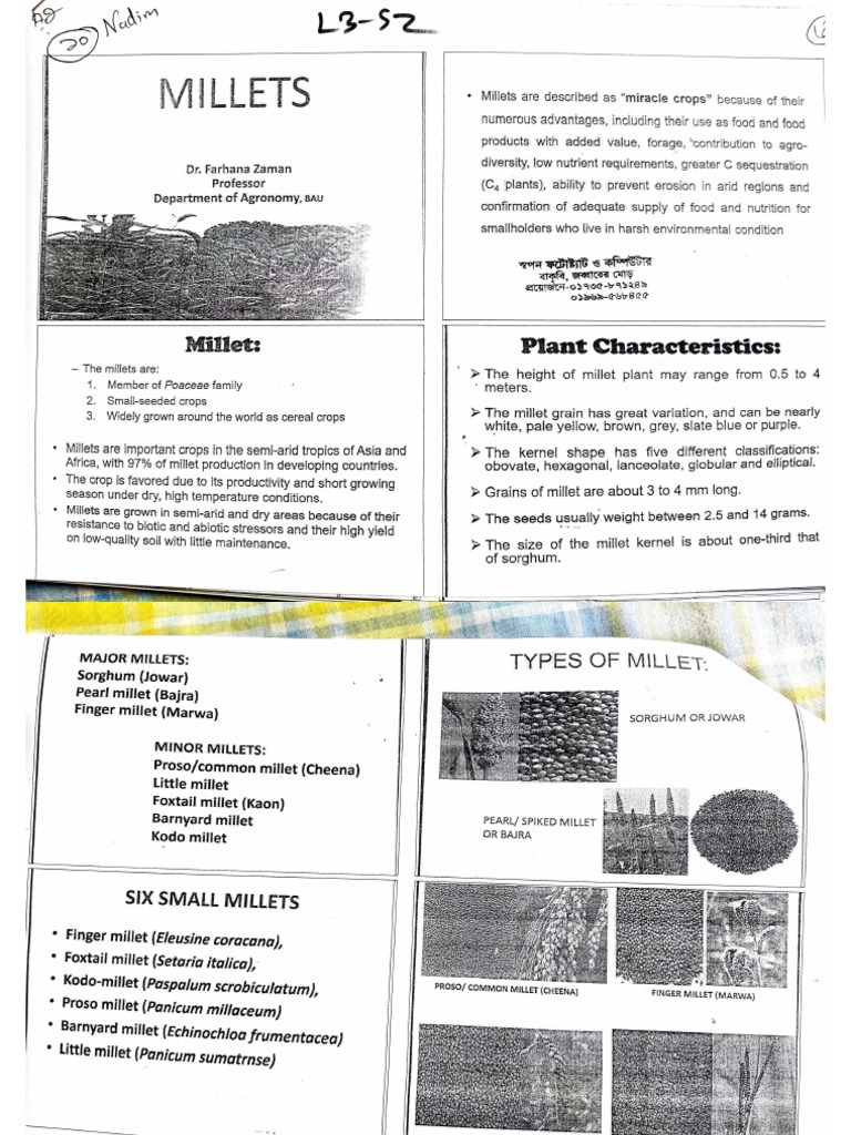 Millets | PDF