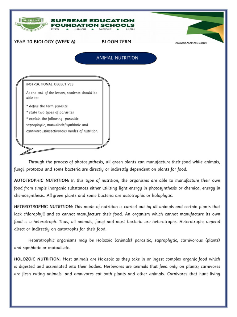 Week 6 | PDF