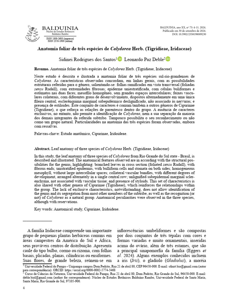 Artigo Anatomia Calydorea | PDF | Folha | Biologia