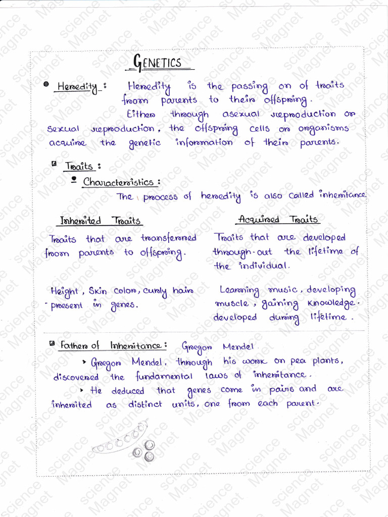 10.Gentics | PDF | Mammal Genetics | Population Genetics