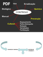 Bula - ZAPP QI 620 - 2024.02.23 | PDF | Agricultura | Rim