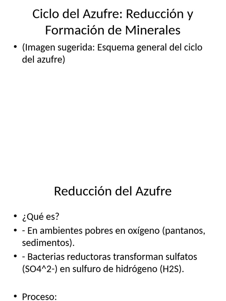 Ciclo Del Azufre | PDF
