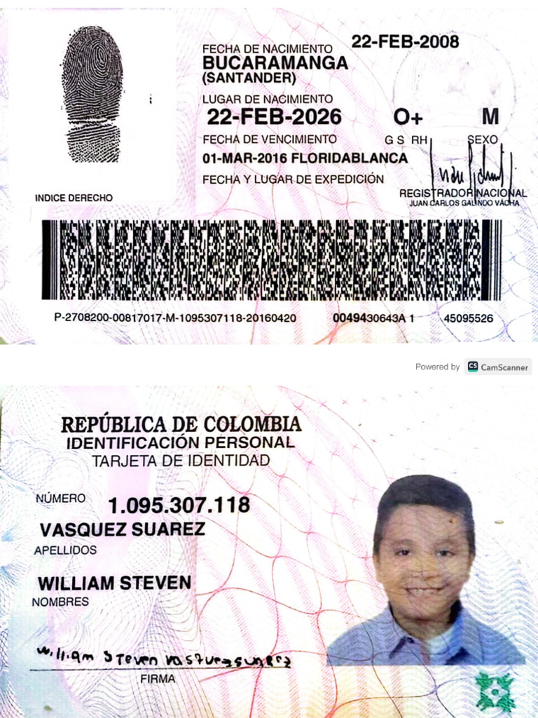 Cedula Steven Vasquez | PDF