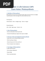 Photosynthesis Class10 Notes | PDF