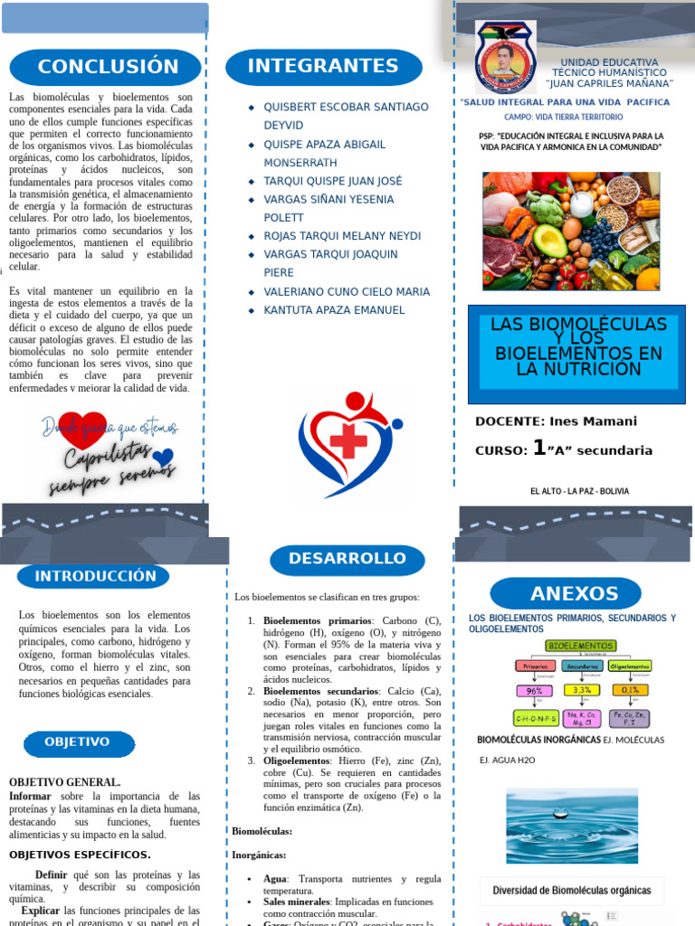 Tríptico Feria | PDF | Biomoléculas | Proteínas