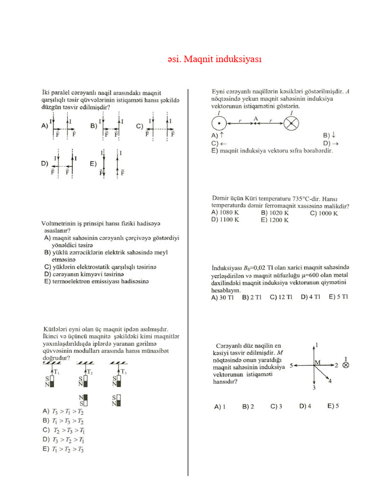 Kuiz-19 Maqnit Sahəsi. Maqnit Induksiyası (1) | PDF