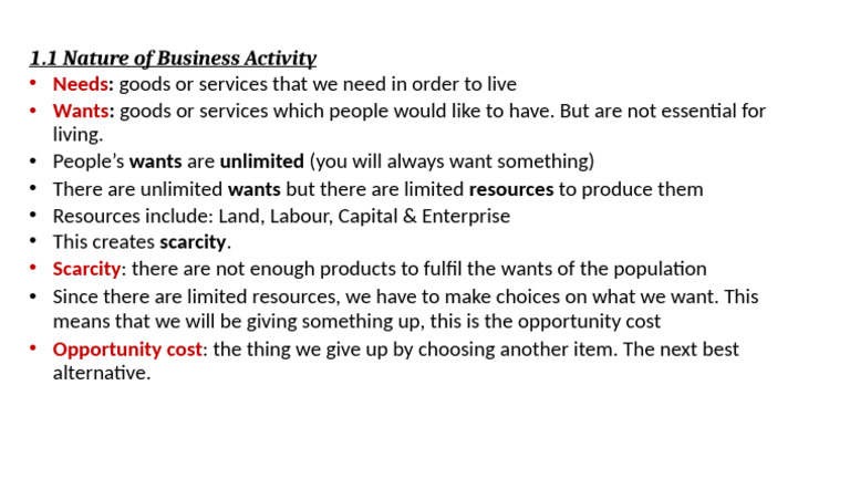 Nature of Business | PDF