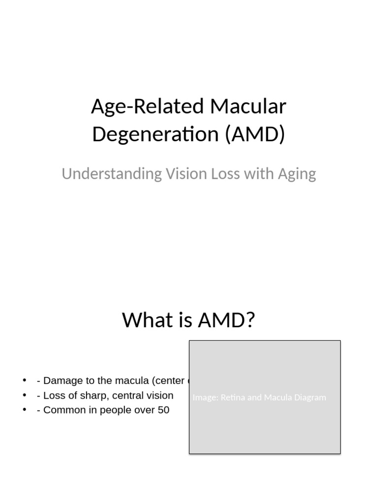 AMD Presentation | PDF