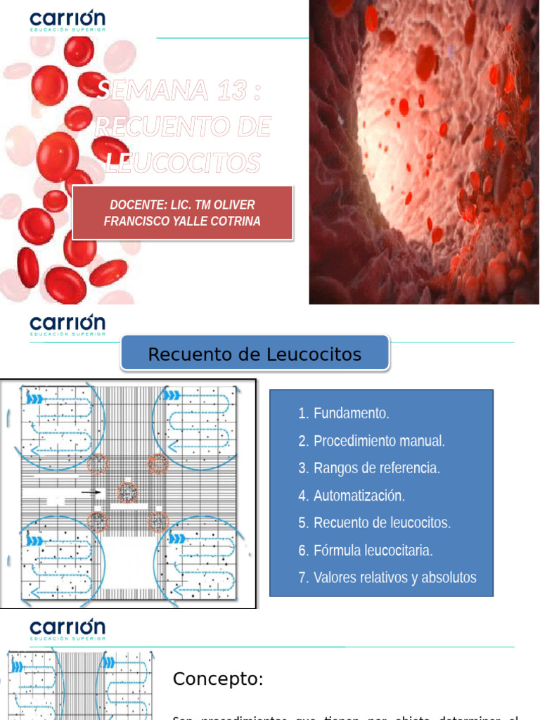 Semana 13 Recuento de Leucocitos | PDF | Sangre | Leucocito