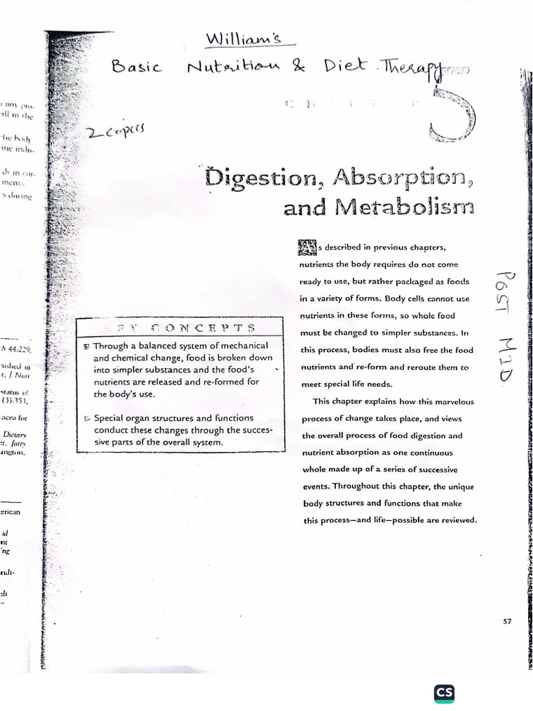 Digestion, Absorption and Metabolism | PDF