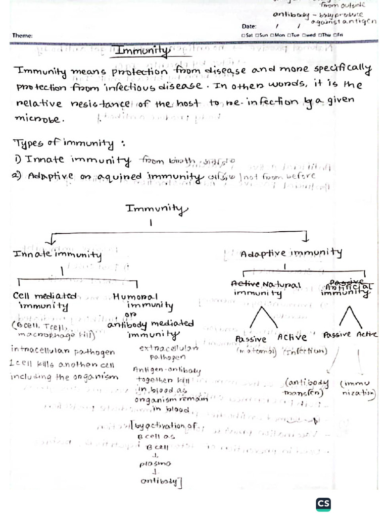 Immunology | PDF