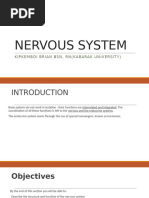 Class 5-Science Notes-The Nervous System | PDF | Brain | Nerve