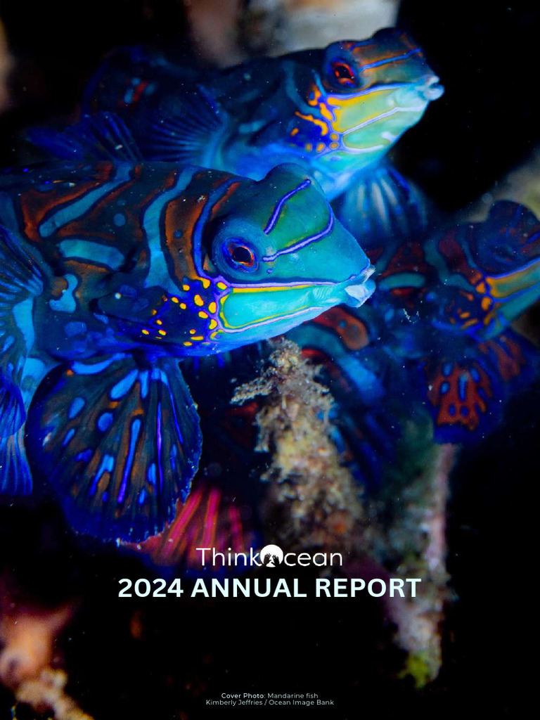 ThinkOcean Society Annual Report 2024 | PDF | Mangrove | Ecological Restoration
