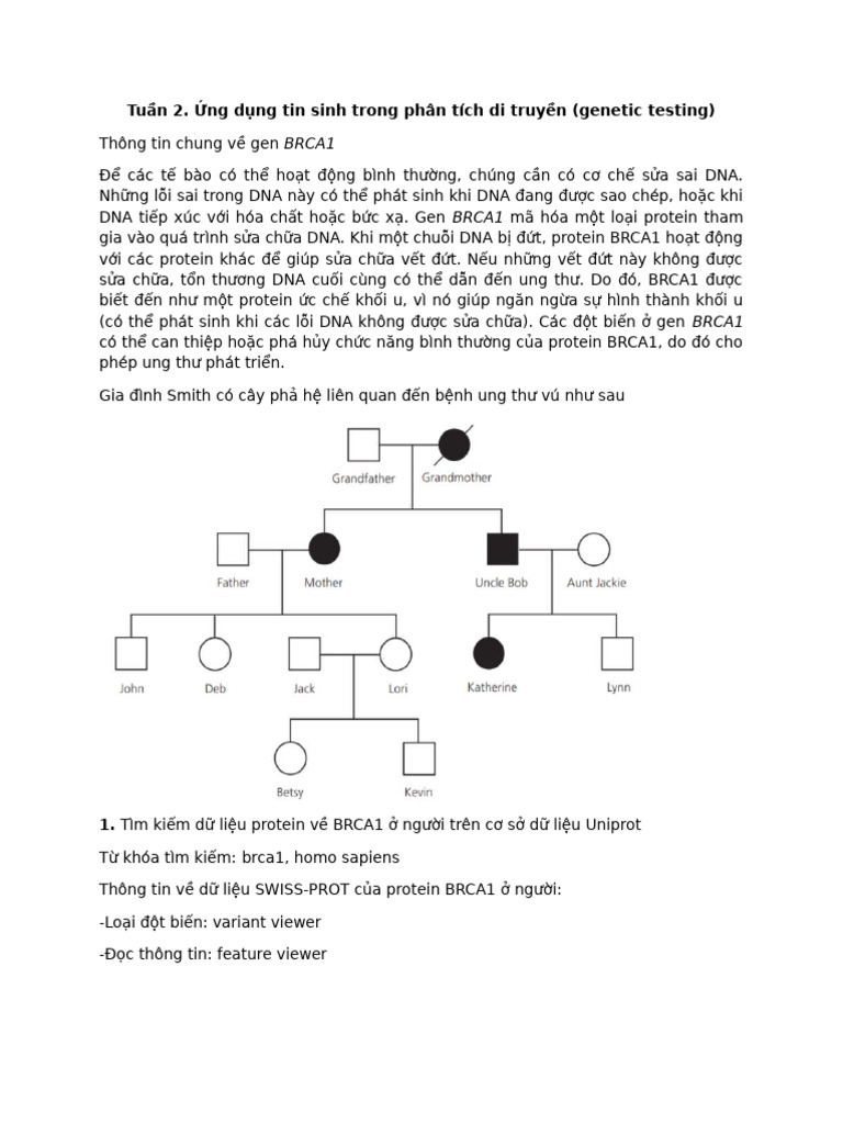 Exercise Week 2 | PDF