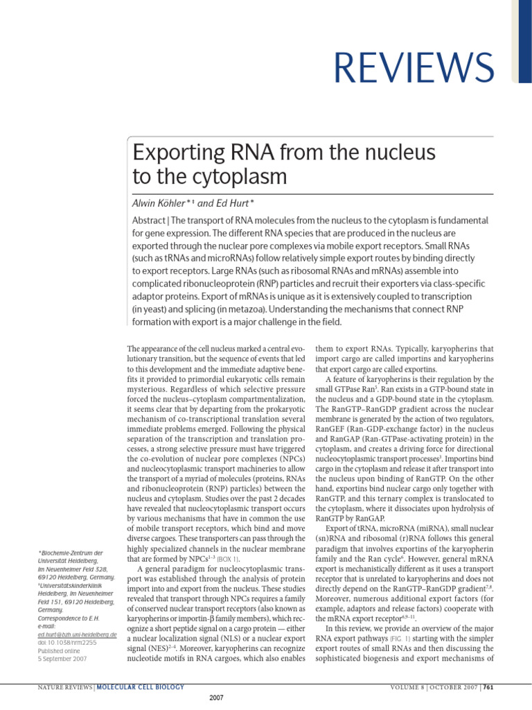 Exporting RNA From The Nucleus | PDF | Messenger Rna | Rna