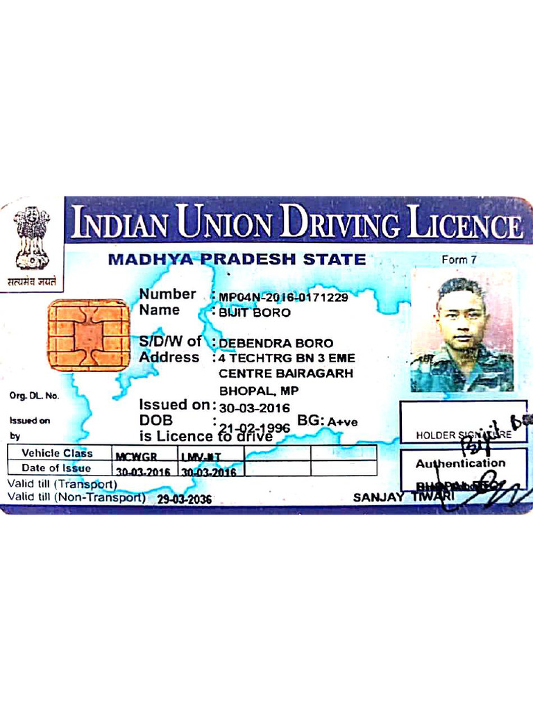 Licence Bijit | PDF