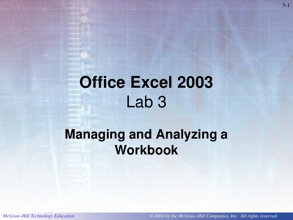Office Excel 2003: Managing and Analyzing A Workbook | PDF | Microsoft ...