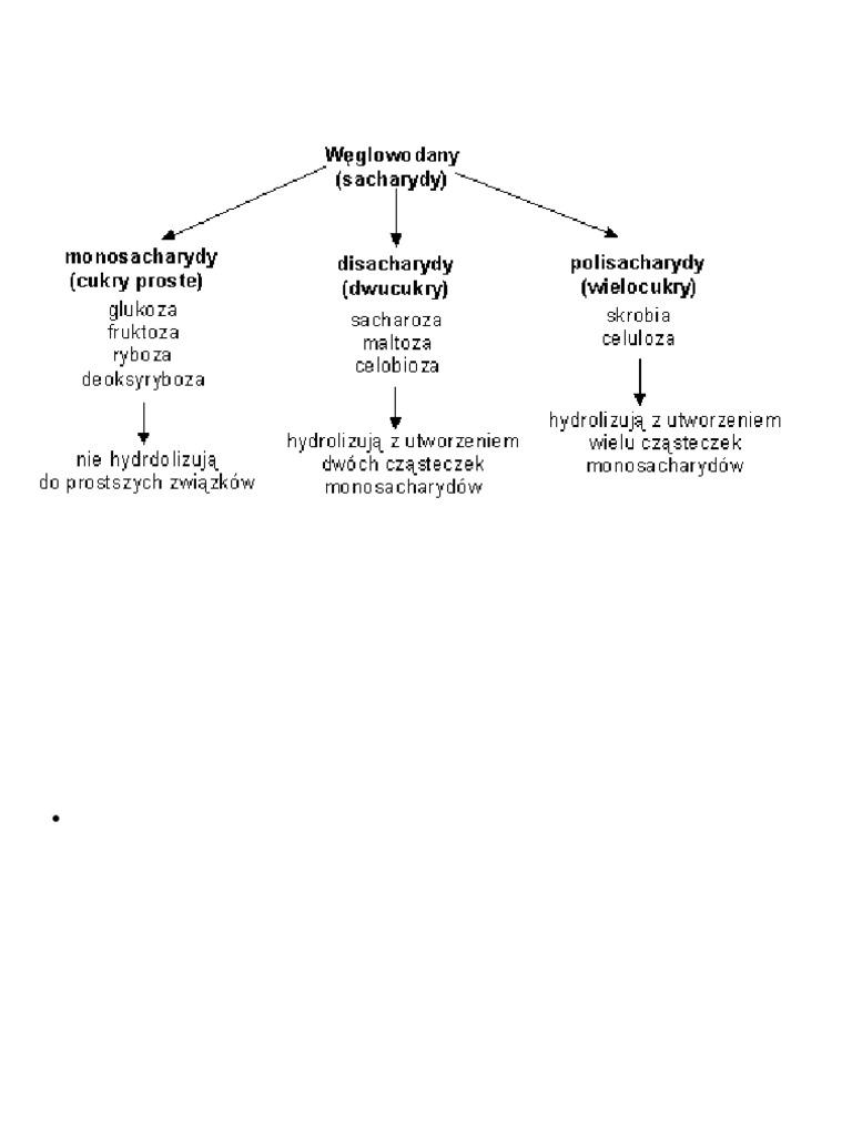Cukry I Białka | PDF