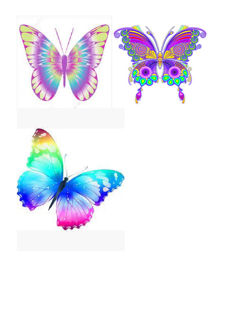 Butterfly | PDF
