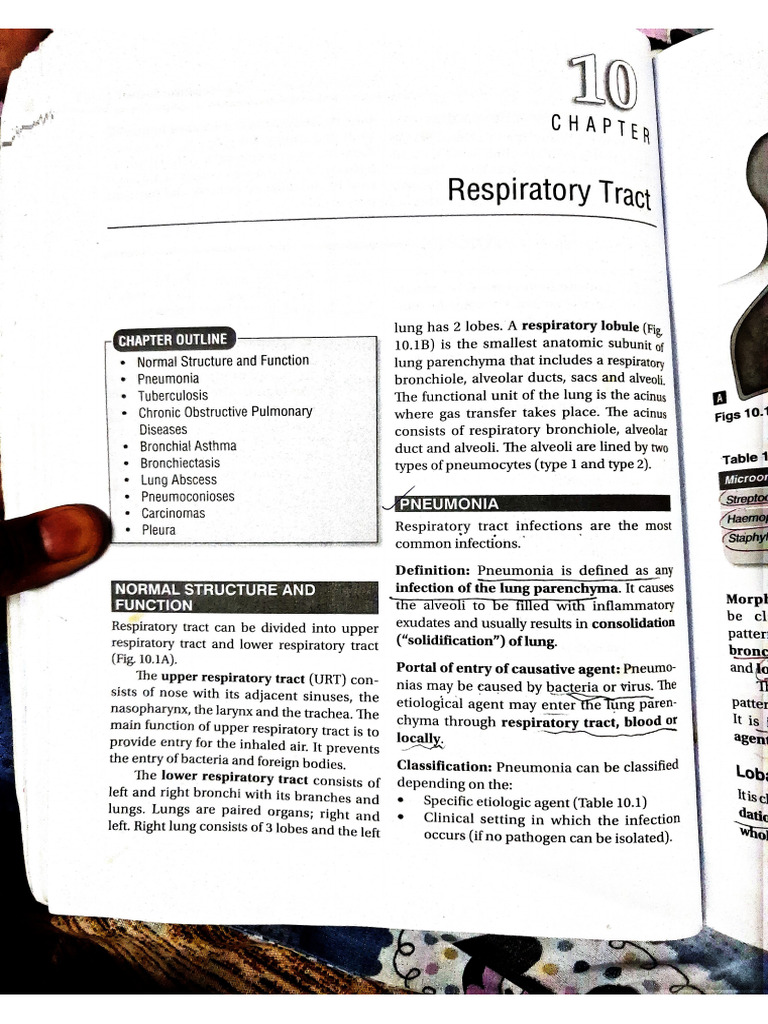 Respiratory Patho | PDF