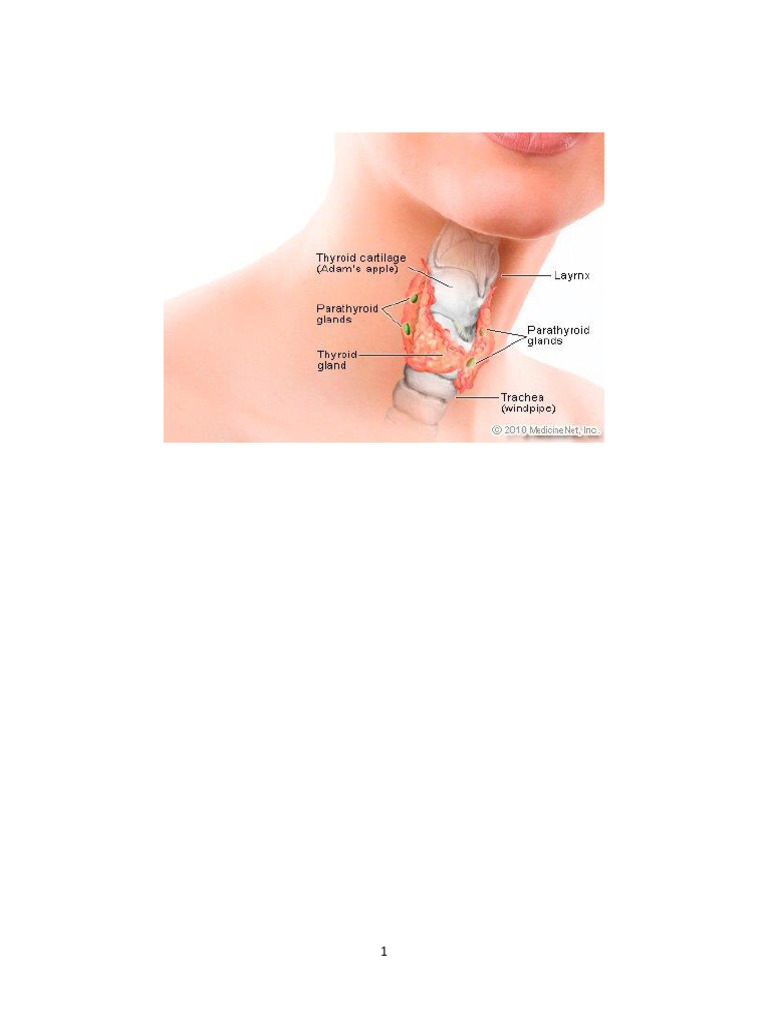 Note 03 Goiter Classification | PDF | Thyroid | Human Anatomy
