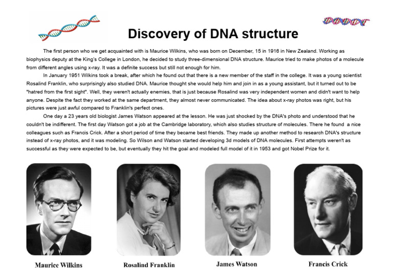 Discovery of DNA Structure - Valeria Pihur | PDF