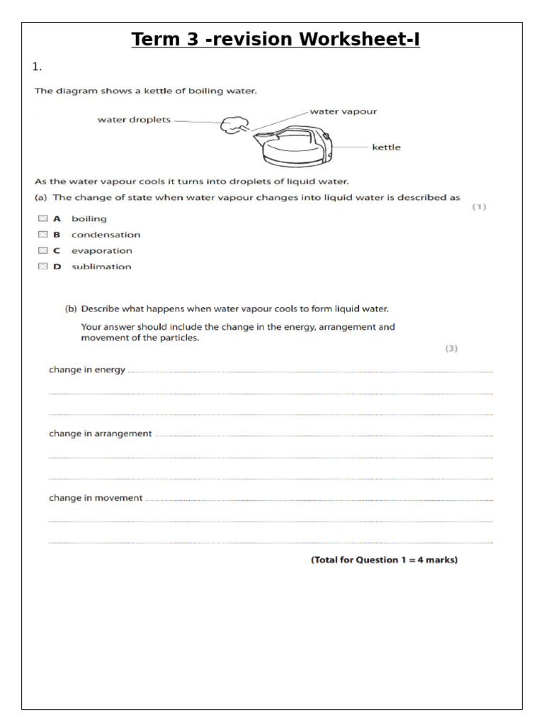 Revision Worksheet 1 | PDF