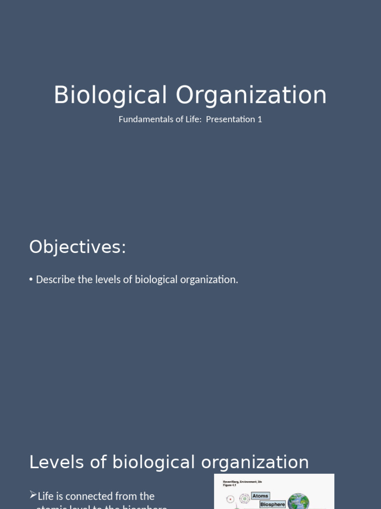 Levels of Biological Organization Explained | PDF
