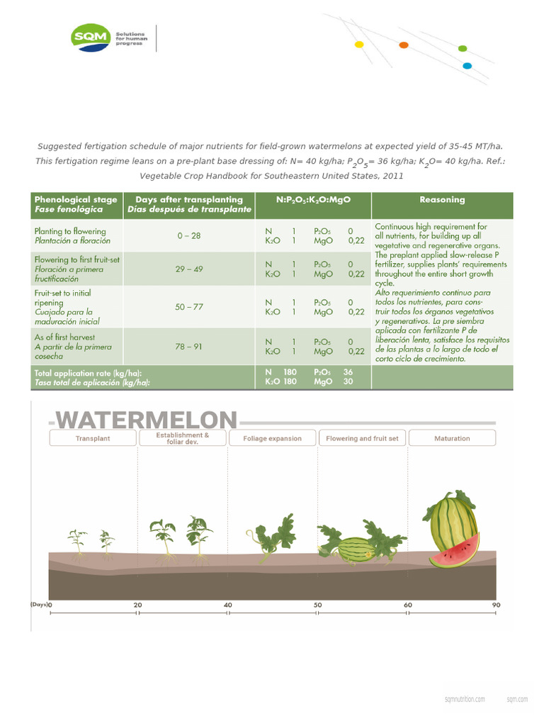 Watermelon - USA - Ferilizer | PDF