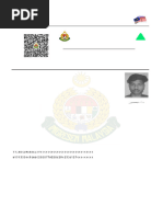 Enumeration Form - SIR - English | PDF | Birth Certificate | Identity ...