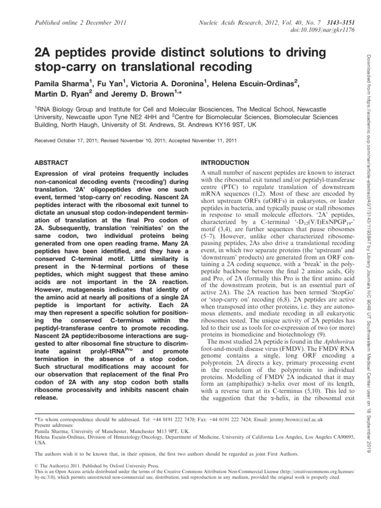 2A Peptides and Stop-Carry On Recoding | PDF | Translation (Biology ...