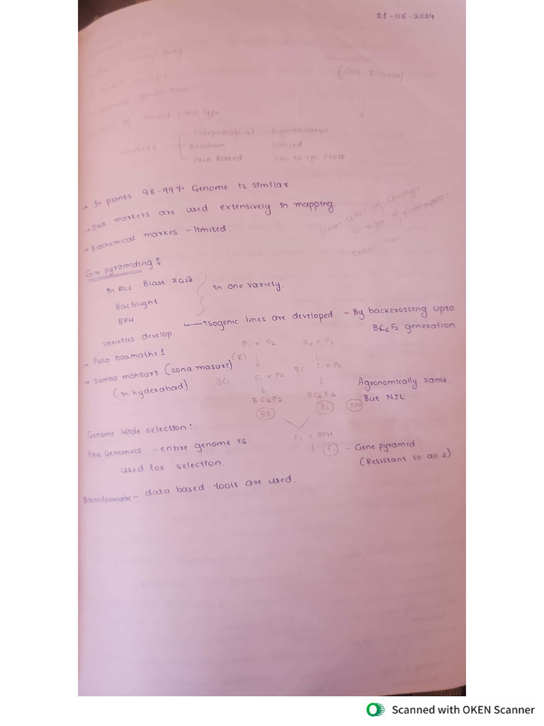 Molecular Breeding Notes | PDF