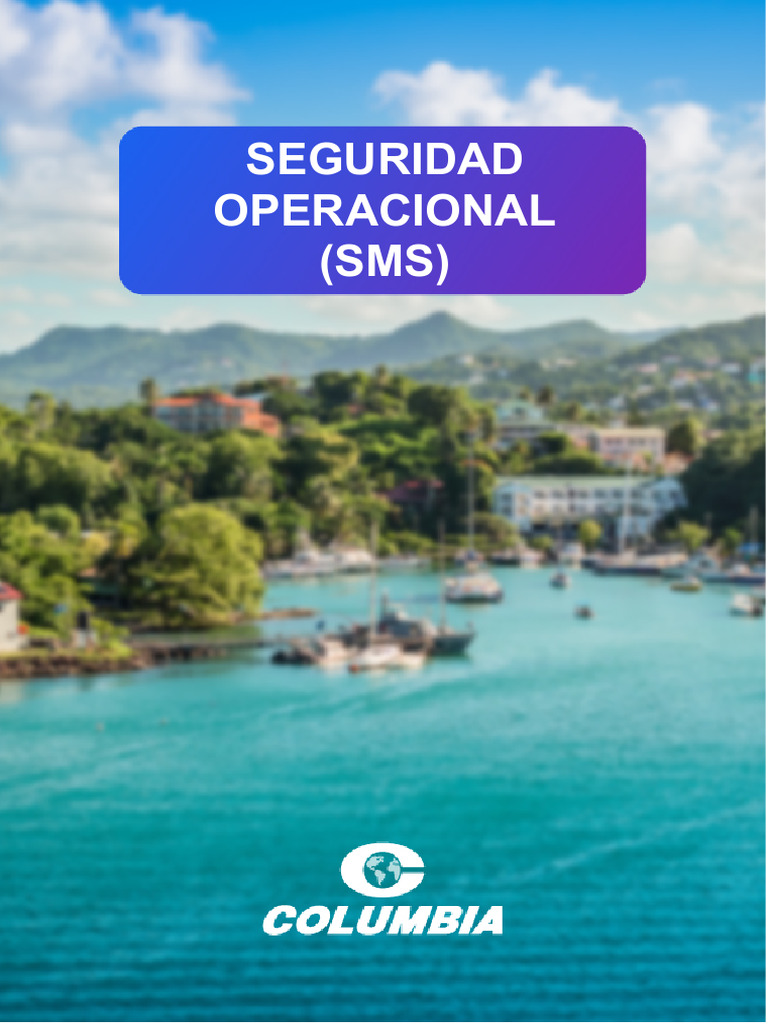 24 Mod - IV Sms Manual | PDF | Riesgo | Valores