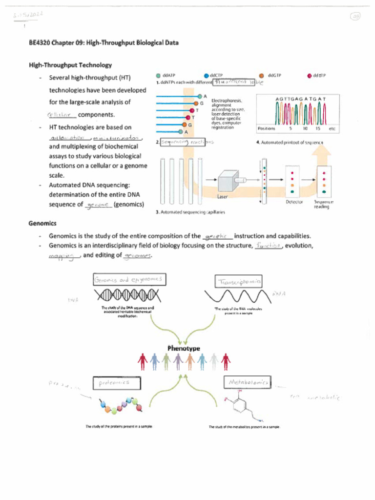 BE5230 - Ch9-High Throughput Biological Data-Worksheet | PDF