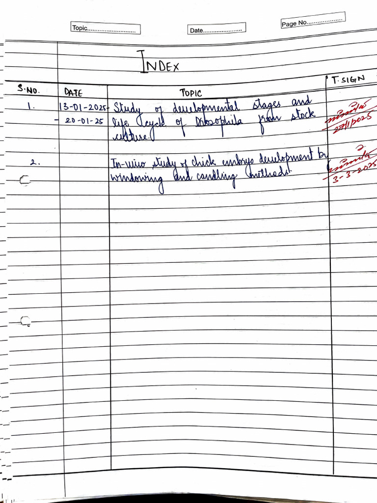 Nimita File | PDF