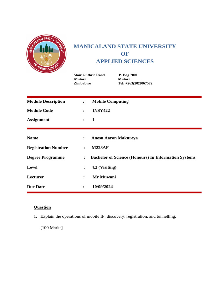 Anesu Makureya INSY422 Mobile Computing Assignment 1 | PDF | Computer Network | Internet Protocols