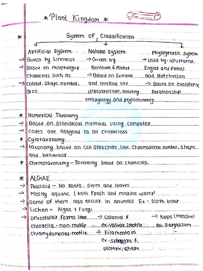 Plant Kingdom Neet? Biology Topper's Notes Exambat Neet? | PDF